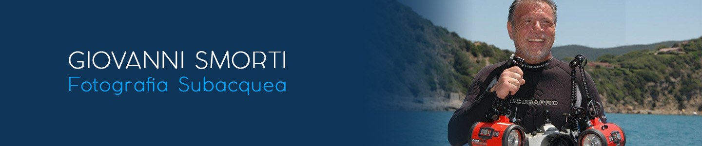 Giovanni Smorti – Il Mare di Punta Ala Giovanni Smorti – Il Mare di Punta Ala